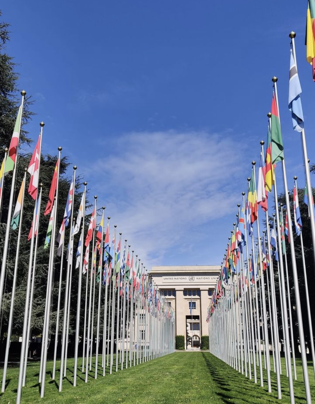 GLOBAL AMBASSADOR PROGRAM – INTERNATIONAL COUNCIL ON HUMAN RIGHTS ...